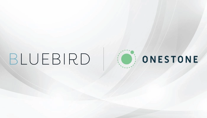 Bluebird Group Logo